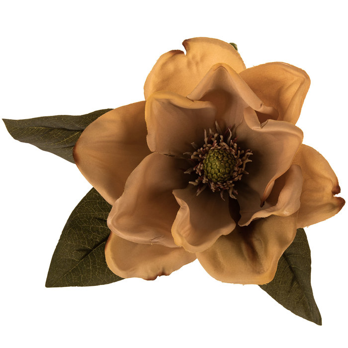 Magnolia Stem | Hobby Lobby