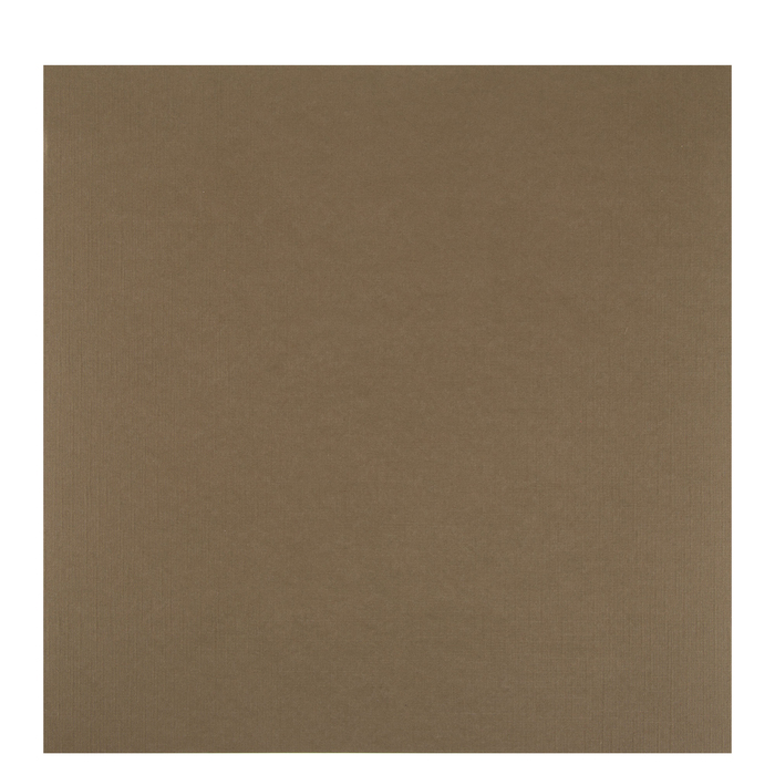 Leather Textured Cardstock Paper - 12" x 12" | Hobby Lobby | 723338