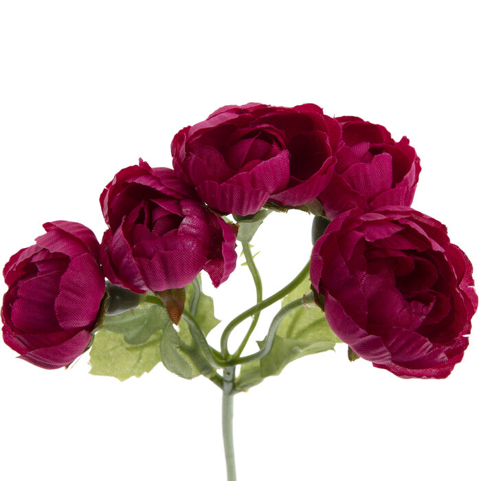 Wild Rose Pick | Hobby Lobby