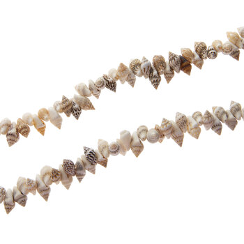 Conch Shell Bead Strands | Hobby Lobby | 1412212