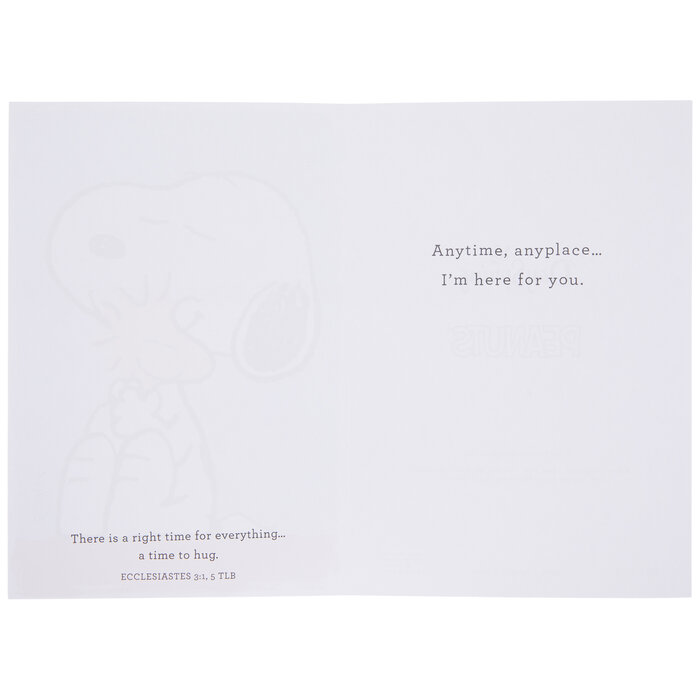 Peanuts Encouragement Cards | Hobby Lobby | 2212785