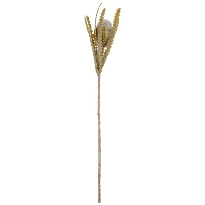 Cream Protea Stem | Hobby Lobby | 2016426