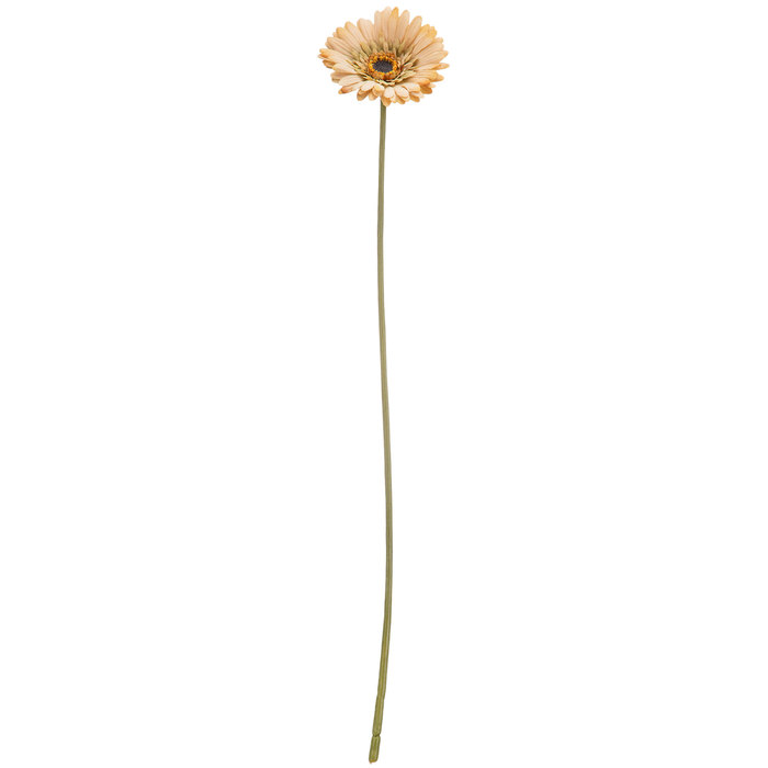 Gerbera Daisy Stem | Hobby Lobby