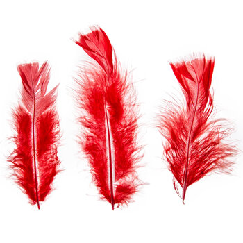 Red Feather Fluff | Hobby Lobby | 245712