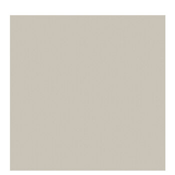 Light Gray Smooth Cardstock Paper - 12" x 12" | Hobby Lobby | 825984