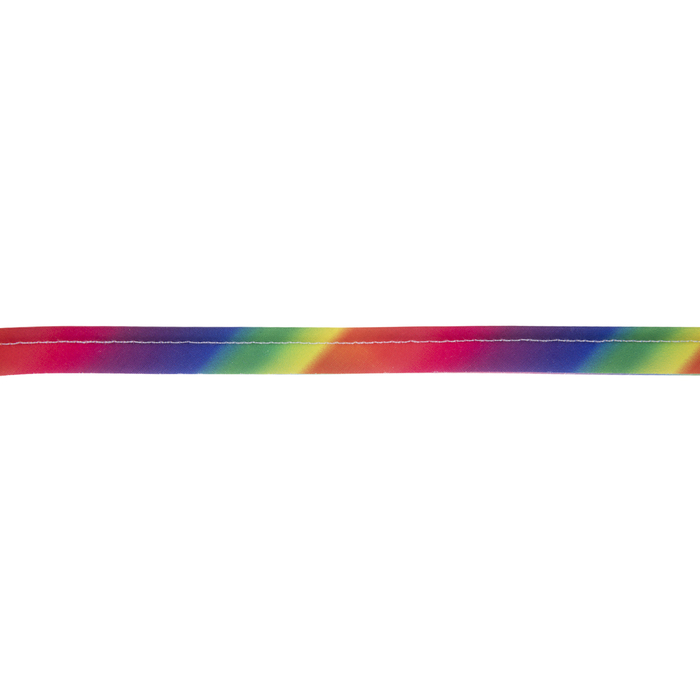 Rainbow Mimi Piping Bias Tape | Hobby Lobby