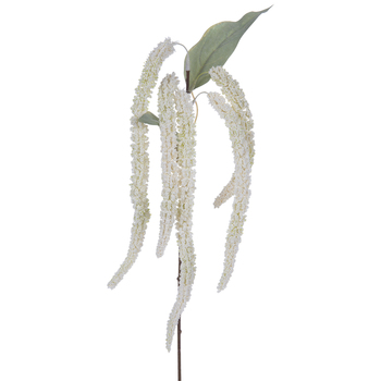 Amaranthus Stem | Hobby Lobby