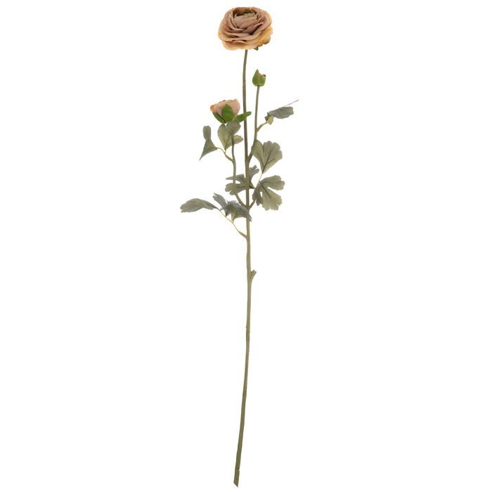 Ranunculus Stem | Hobby Lobby