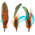Bright Natural Feather Picks With Loops - 6" - 7" | Hobby Lobby | 515767
