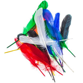 Multi-Color Turkey Feathers | Hobby Lobby | 882076