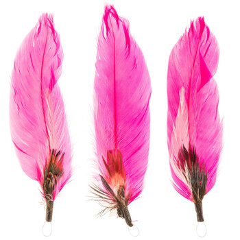 Pheasant & Goose Feathers | Hobby Lobby | 573485