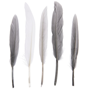 Gray & White Craft Feathers | Hobby Lobby | 2127850