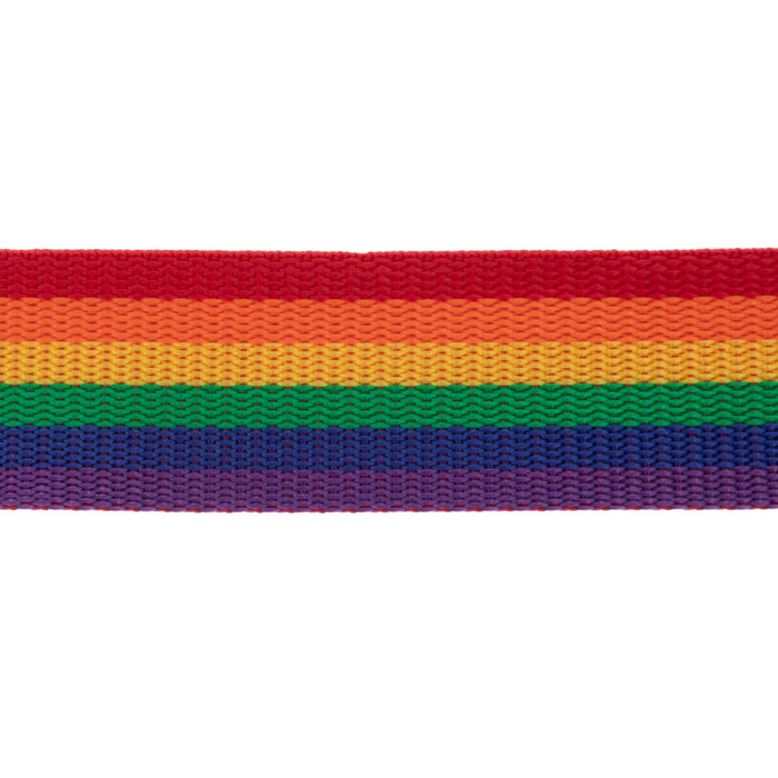 Rainbow Striped Belting Trim | Hobby Lobby | 1834837