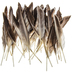 Gray Duck Wing Quills | Hobby Lobby | 564559