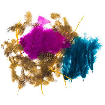 Gold, Turquoise & Purple Mixed Feathers | Hobby Lobby | 1536960