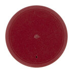 Revving Red Testors Extreme Lacquer Spray Paint | Hobby Lobby | 317669