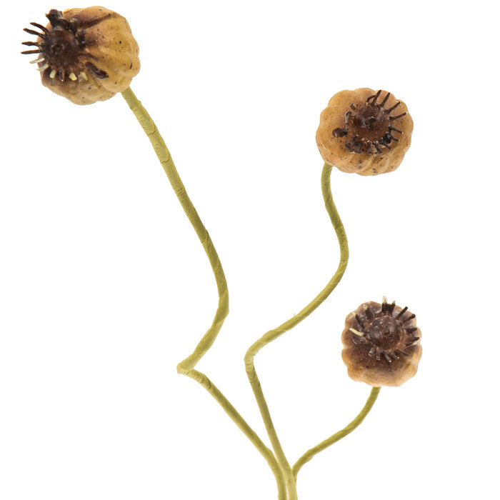 Yellow Poppy Pod Stem | Hobby Lobby | 829028