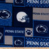 Penn State Block Collegiate Fleece Fabric | Hobby Lobby | 953711