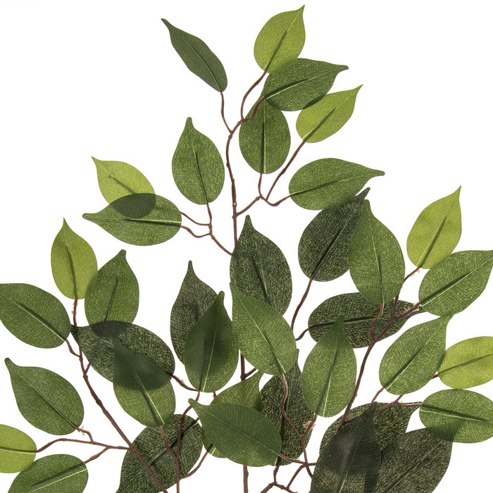 Fat Ficus Branch | Hobby Lobby | 775056