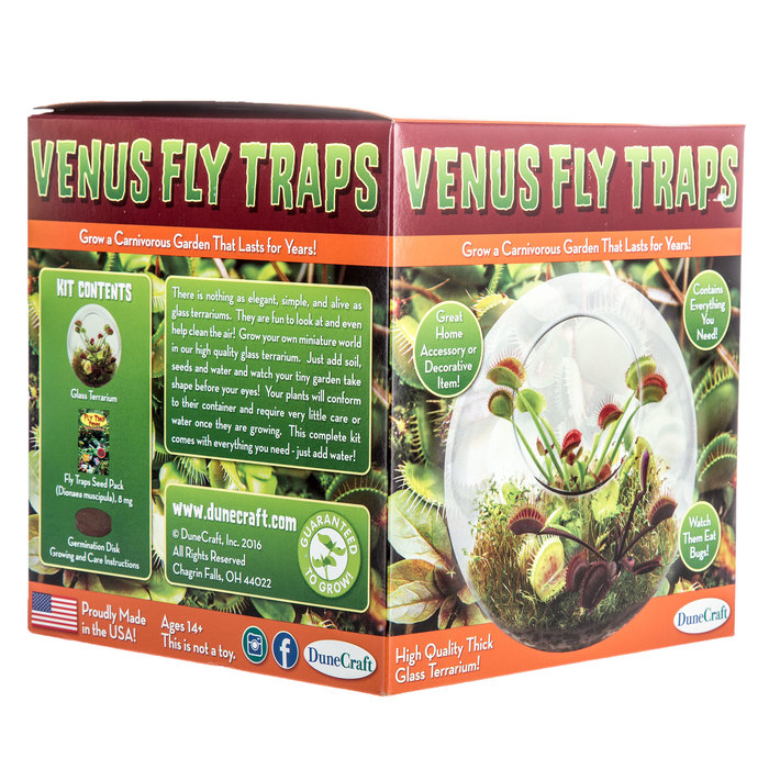 Venus Fly Traps Kit | Hobby Lobby | 1549013