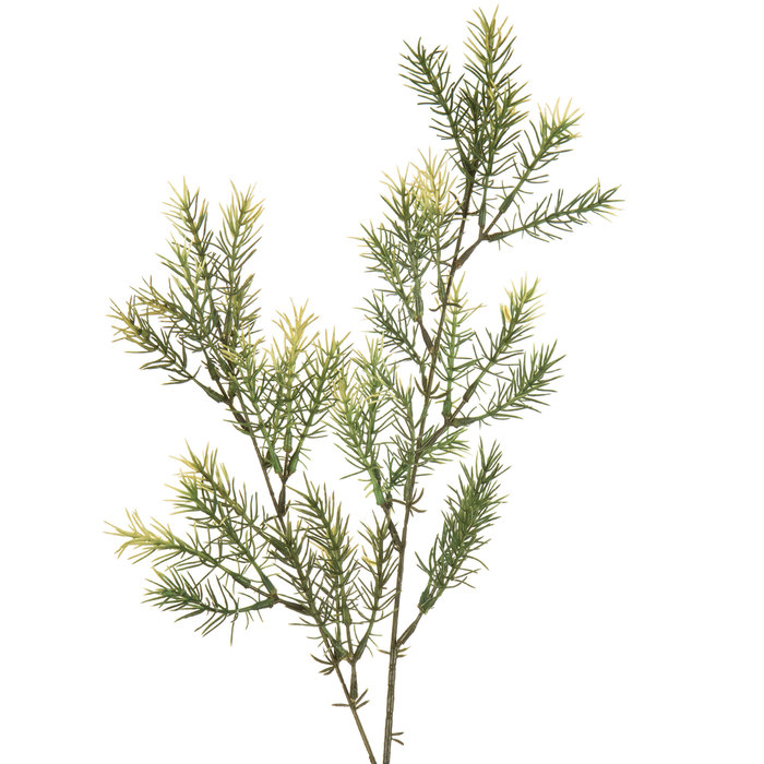 Green Springeri Spray | Hobby Lobby | 596668