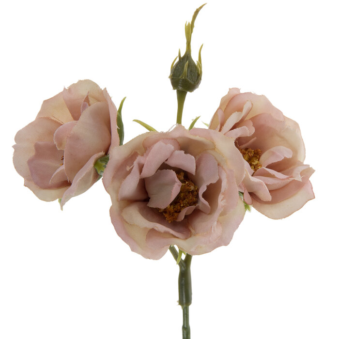 Rose Pick | Hobby Lobby