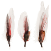 Bright Natural Feather Picks With Loops - 6" - 7" | Hobby Lobby | 515767