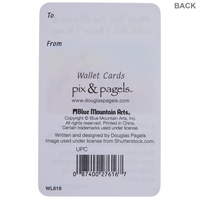 May You Be Blessed Wallet Card | Hobby Lobby | 1328095