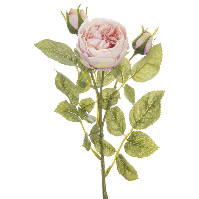 Rose Stem | Hobby Lobby