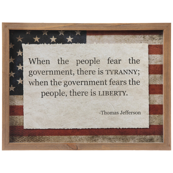 Tyranny & Liberty Framed Wall Decor | Hobby Lobby | 2186856