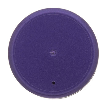 Purple-Licious Testors Extreme Lacquer Spray Paint | Hobby Lobby | 427393