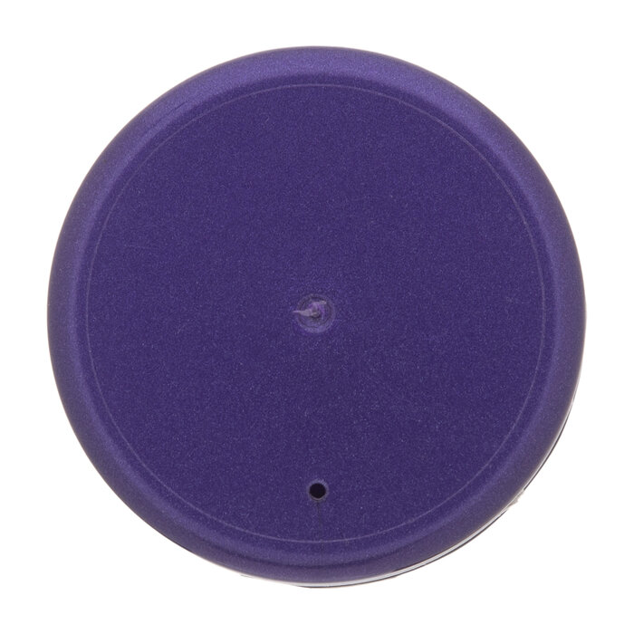 Purple-Licious Testors Extreme Lacquer Spray Paint | Hobby Lobby | 427393