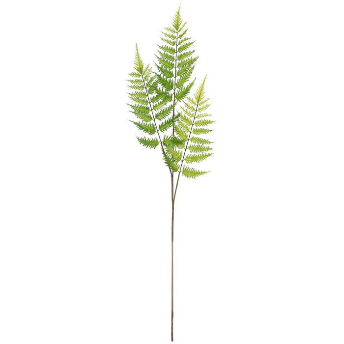 Fern Spray | Hobby Lobby | 1081488