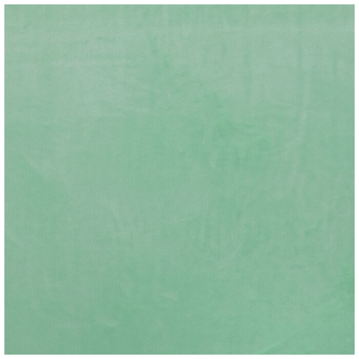 Sage Minky Fleece Fabric | Hobby Lobby | 2201416