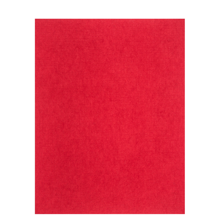 Lipstick Red Textured Cardstock Paper - 8 1/2" x 11" | Hobby Lobby | 108381