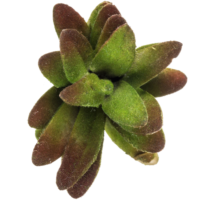 Fuzzy Green Succulent Pick | Hobby Lobby | 597070
