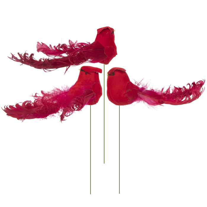 Curly Tail Feather Birds | Hobby Lobby
