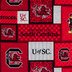 South Carolina Block Collegiate Fleece Fabric | Hobby Lobby | 953943