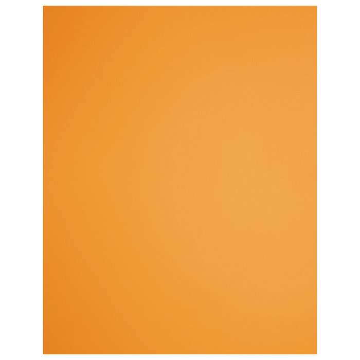 Neon Hot Orange Pacon Coated Poster Board - 22" x 28" | Hobby Lobby ...