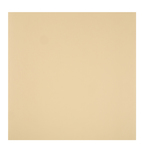 Tan Textured Cardstock Paper - 12" x 12" | Hobby Lobby | 604397