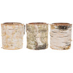 Birch Votive LED Candles | Hobby Lobby | 1449925