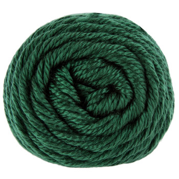 Forest Yarn Bee Soft Secret Yarn | Hobby Lobby | 890863