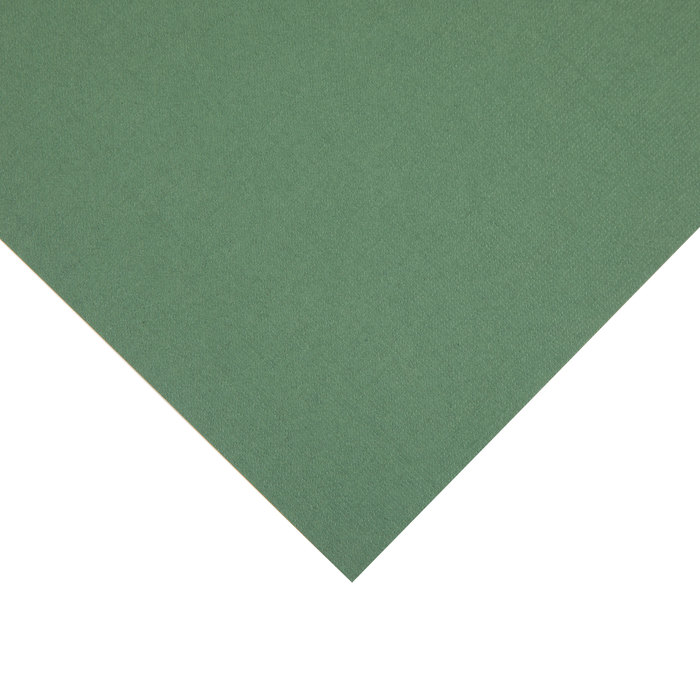 Forest Green Textured Cardstock Paper - 12" x 12" | Hobby Lobby | 1699909