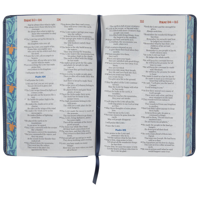 Adventure Bible For Early Readers | Hobby Lobby | 1434034