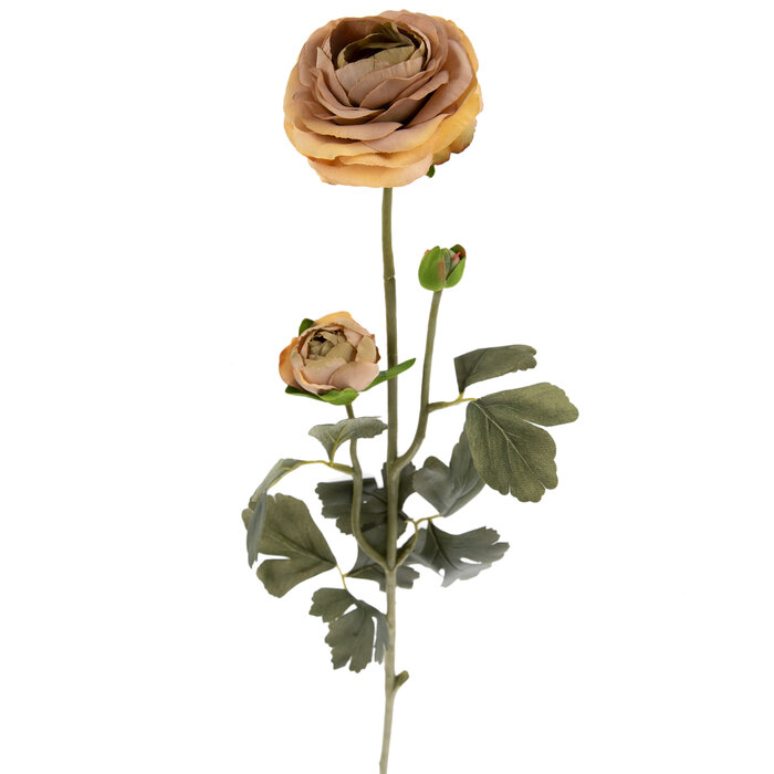 Ranunculus Stem | Hobby Lobby