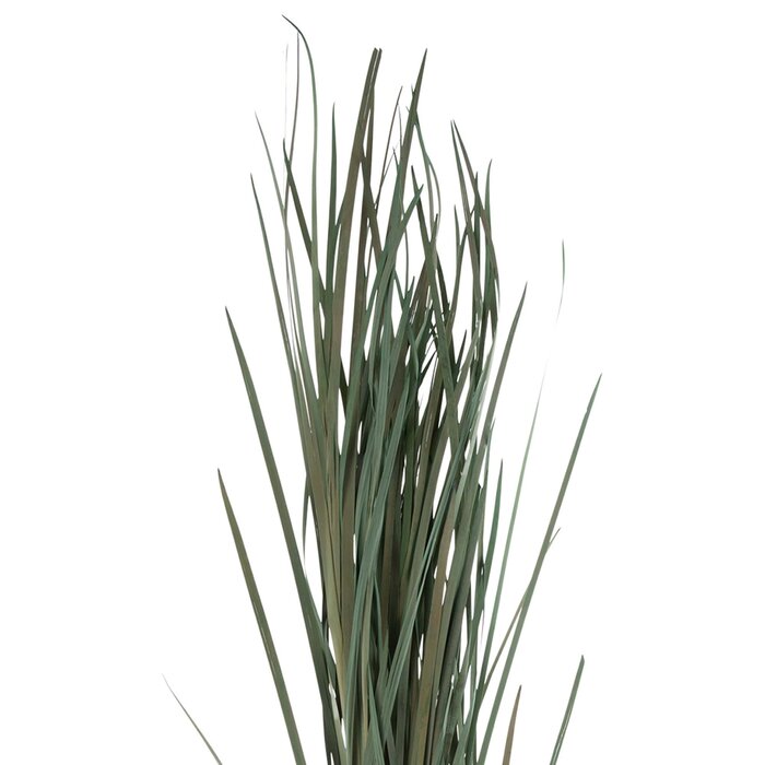 Moss Green Dried Flax Grass | Hobby Lobby | 1927375