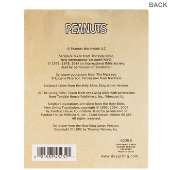 Peanuts Encouragement Notes | Hobby Lobby | 1605385