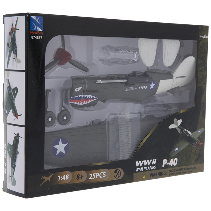 WWII P-40 War Plane Model Kit | Hobby Lobby | 874677