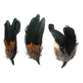 Bright Natural Feather Picks With Loops - 6" - 7" | Hobby Lobby | 515767