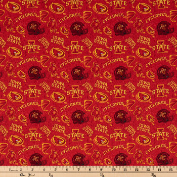 Iowa State Allover Collegiate Cotton Fabric | Hobby Lobby | 952390